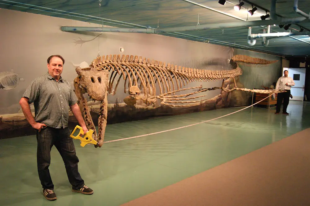 Largest mosasaur on display | _guinness_world_records_label