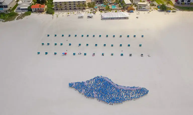 Largest human image of a seashell | Guinness World Records