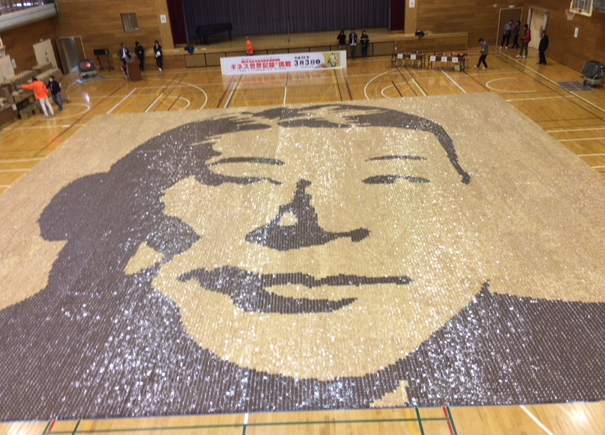 Largest biscuit/cookie mosaic (image) | Guinness World Records