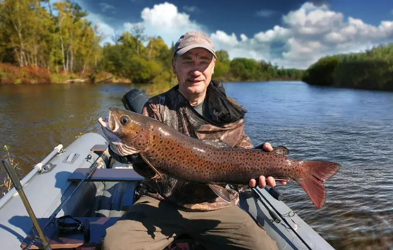 Heaviest lenok fish caught in competition | Guinness World Records