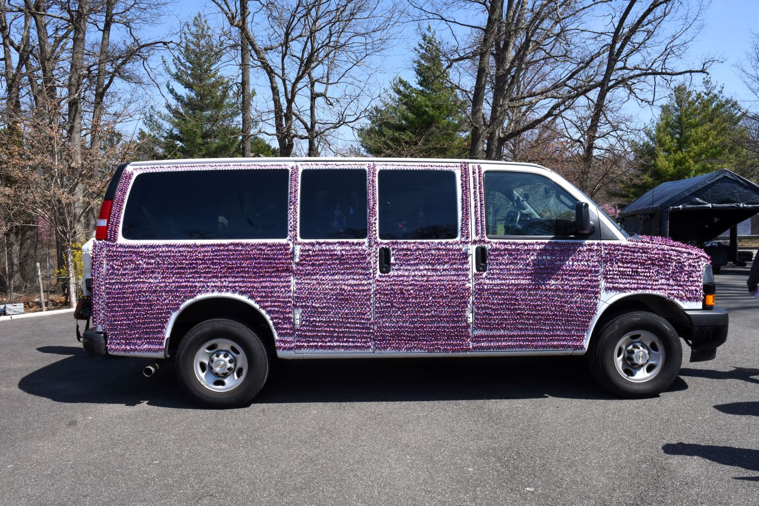 Most awareness ribbons on a van | Guinness World Records