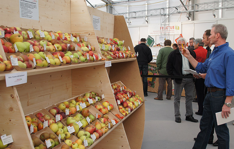 Largest display of fruit varieties | _guinness_world_records_label